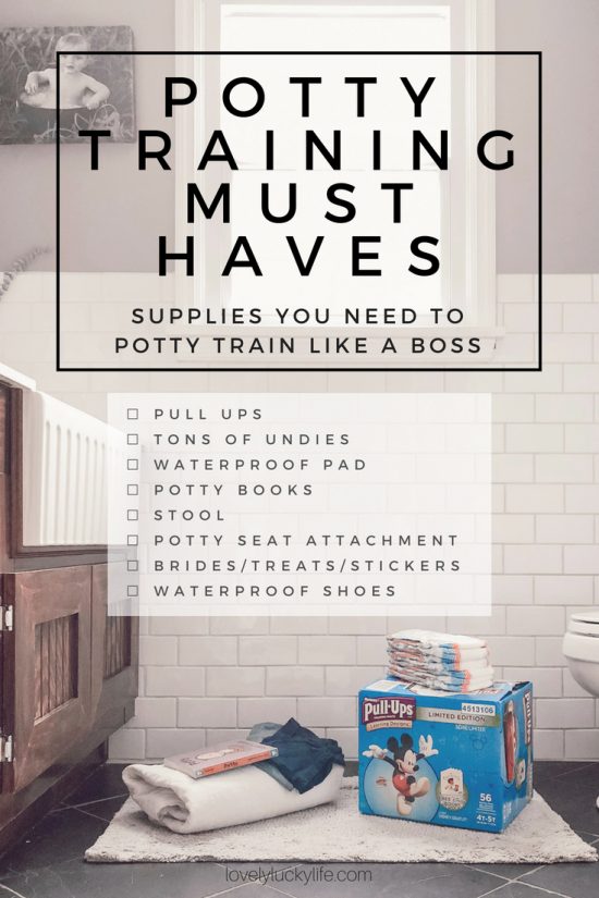 Potty Training Supplies 101 - What you NEED to successfully potty train ...